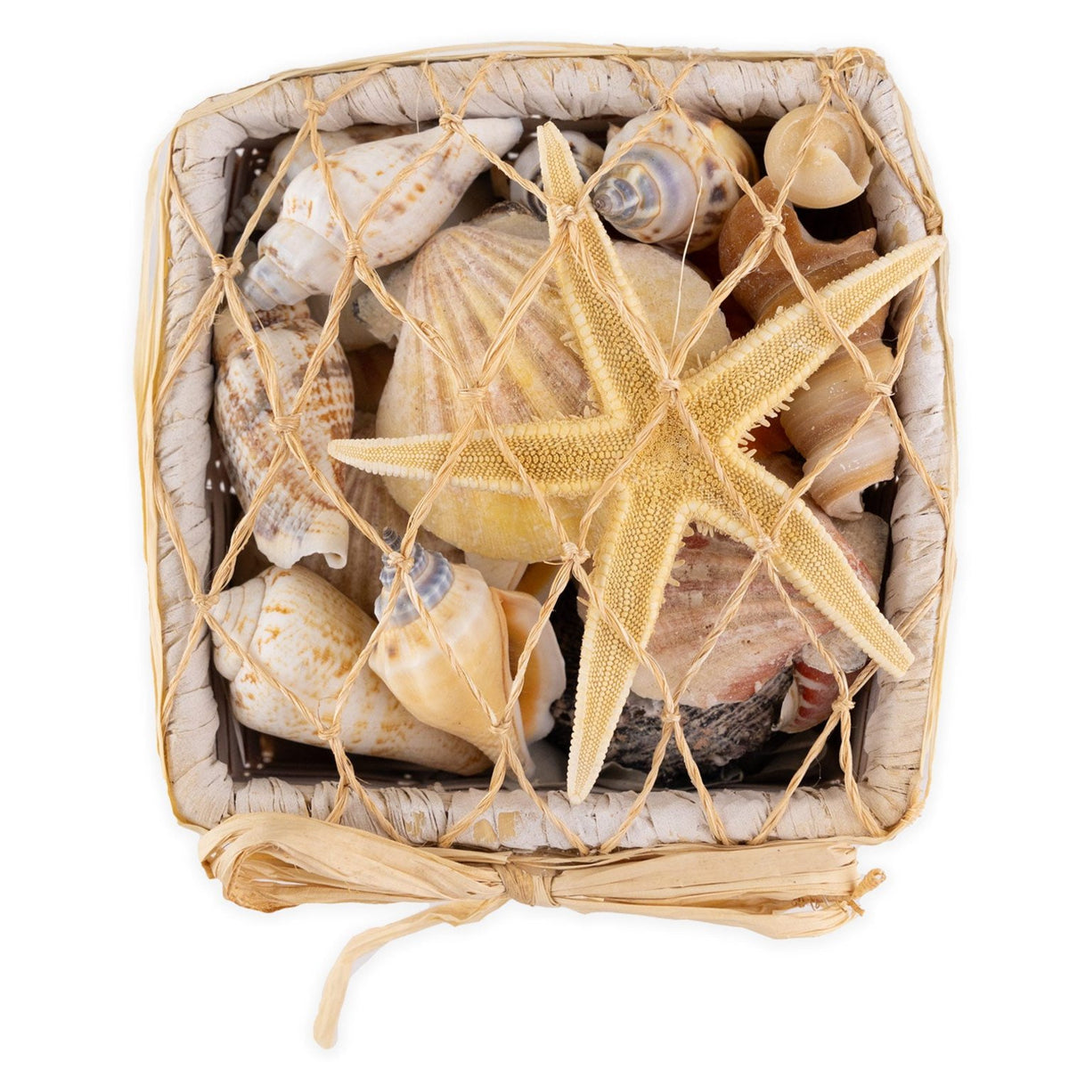 Beachcombers Square Shell Basket- White | The Hawaii Store
